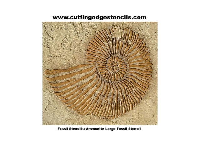 Fossil Stencils by Cutting Edge Stencils | PPT