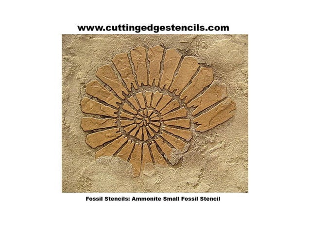 Fossil Stencils by Cutting Edge Stencils | PPT