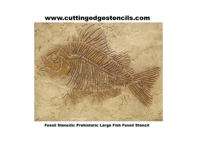 Fossil Stencils by Cutting Edge Stencils | PPT