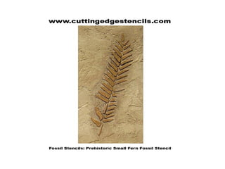 Fossil Stencils by Cutting Edge Stencils | PPT
