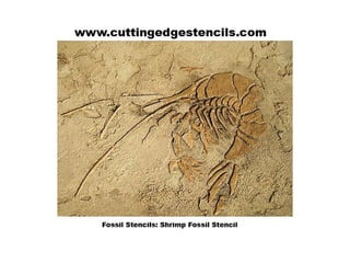 Fossil Stencils by Cutting Edge Stencils | PPT