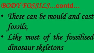 Fossils & it's types | PPTX