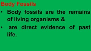 Fossils & it's types | PPTX