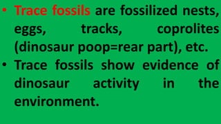 Fossils & it's types | PPTX