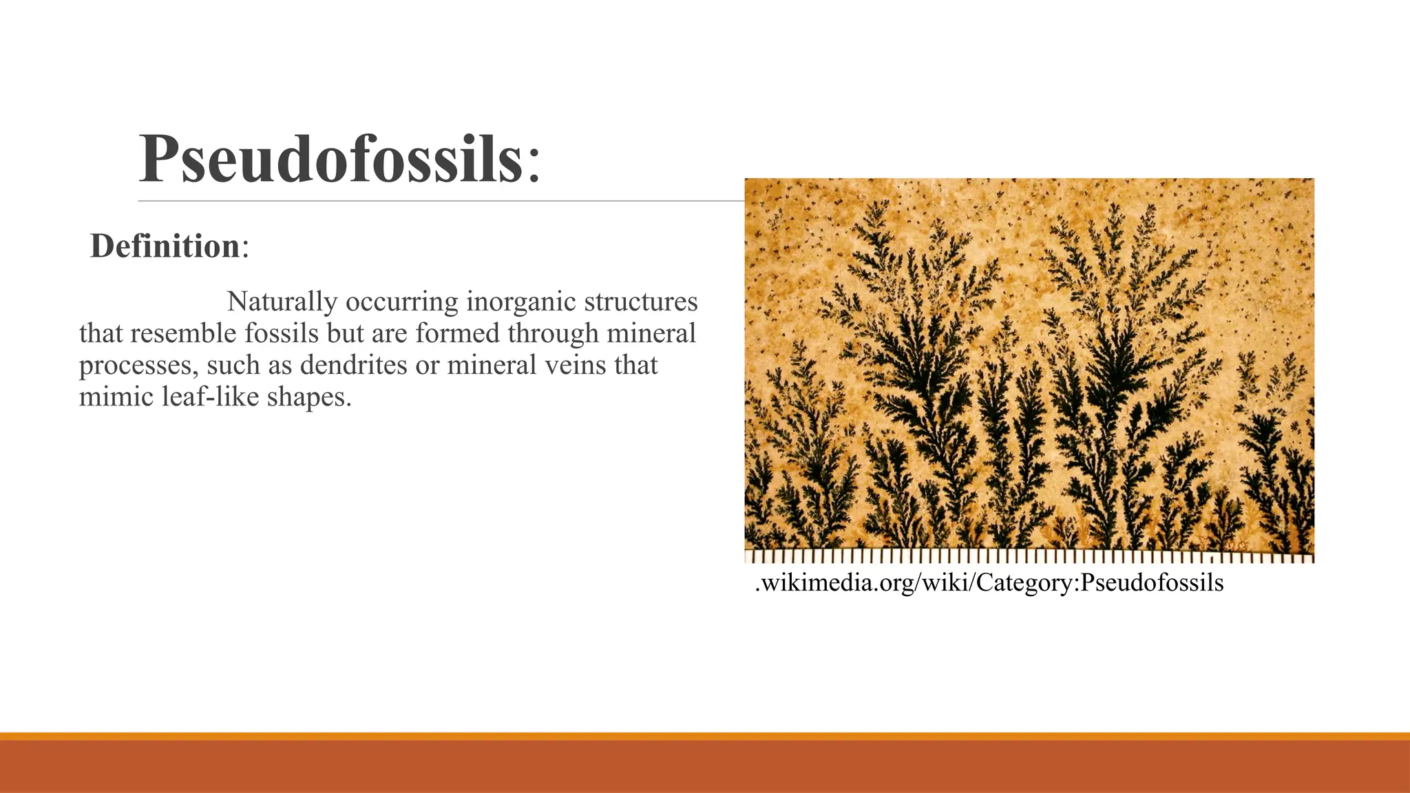 Fossils, types and fossilization by Afrasiyab Ahmed.pptx