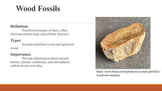 Fossils, types and fossilization by Afrasiyab Ahmed.pptx