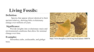 Fossils, types and fossilization by Afrasiyab Ahmed.pptx