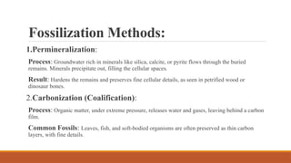 Fossils, types and fossilization by Afrasiyab Ahmed.pptx