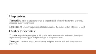 Fossils, types and fossilization by Afrasiyab Ahmed.pptx