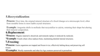 Fossils, types and fossilization by Afrasiyab Ahmed.pptx