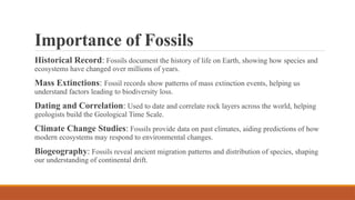 Fossils, types and fossilization by Afrasiyab Ahmed.pptx