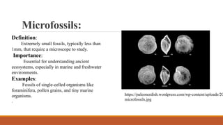 Fossils, types and fossilization by Afrasiyab Ahmed.pptx