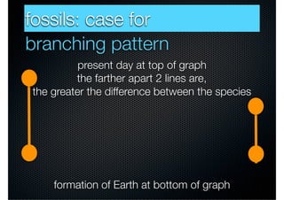 Fossil Succesion | PPT