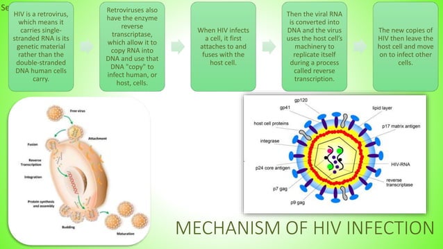Fostemsavir (Rukobia): HIV Newest Agent, Medicinal Chemistry And ...
