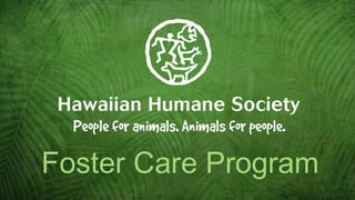 Foster Care Program | PPT