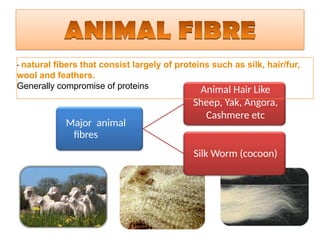FOT 1 Module 1 Topic 2 classification Textile Fiber.pptx