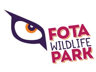 Fota animation | PPT