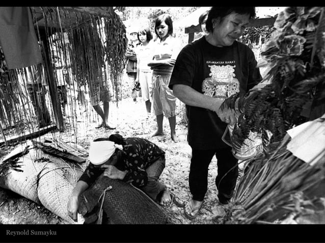 PHOTO ESSAY @ NATIONAL GEOGRAPHIC | PDF