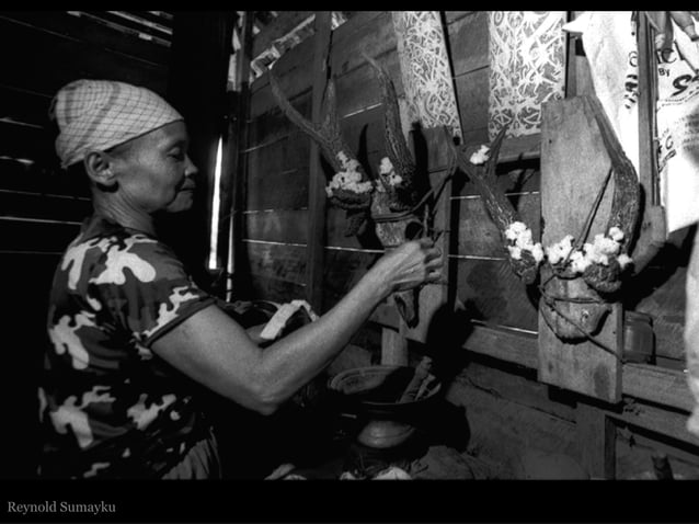 PHOTO ESSAY @ NATIONAL GEOGRAPHIC | PDF