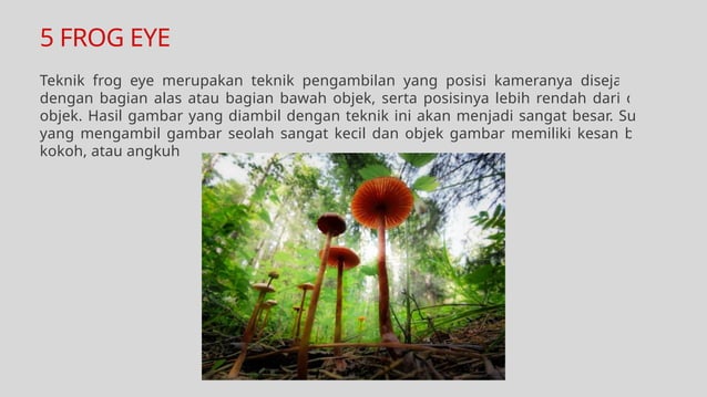 Bahan Ajar Mata Pelajaran DDKV TP Fotografi.pptx