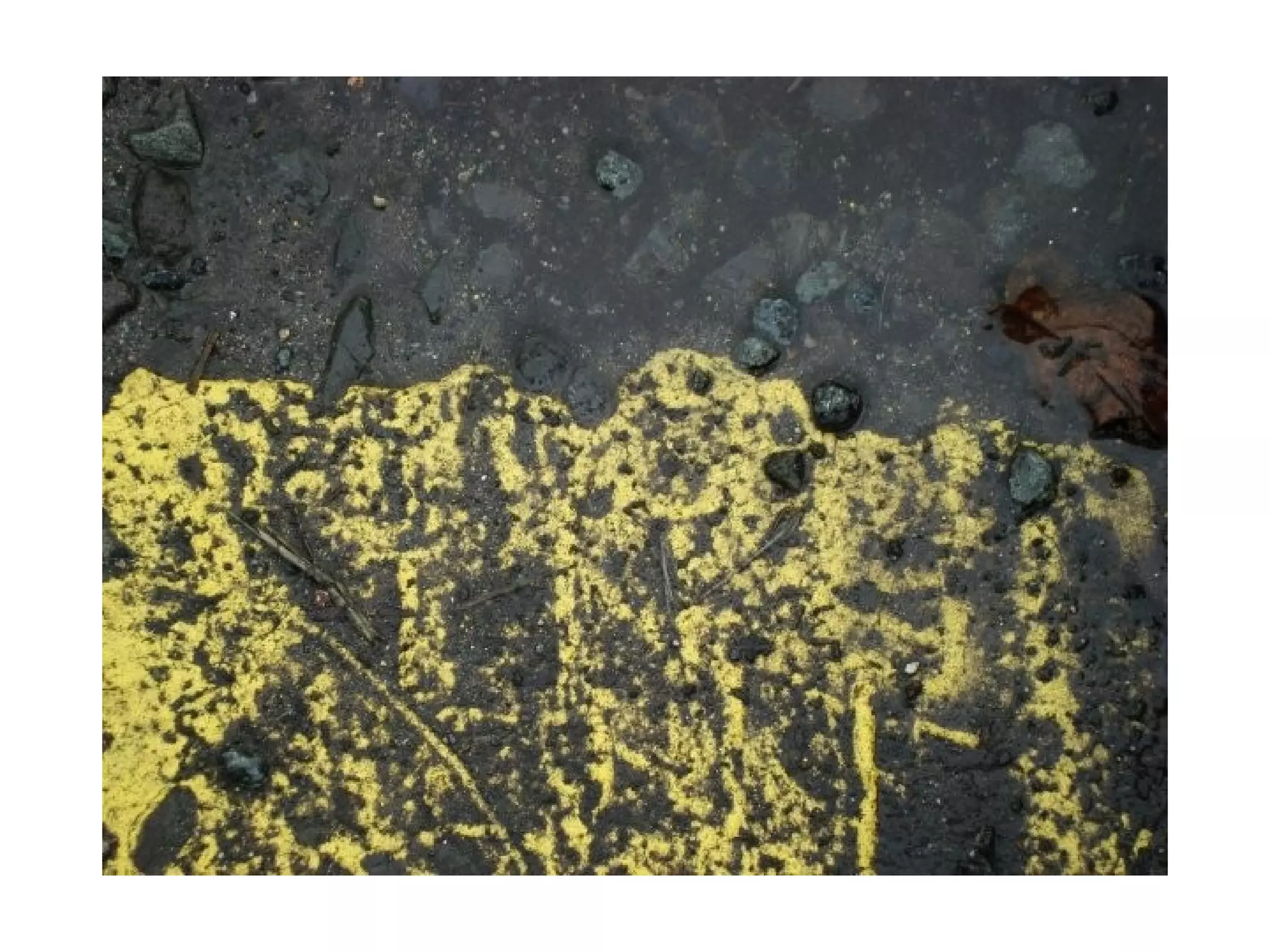 Fotografic Inspiration | PPT