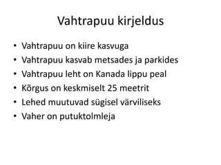 Fotojutustus | PPT