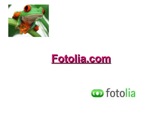 Fotolia | PPT