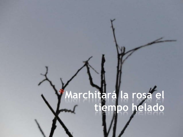 Foto poema Soneto XXIII | PPT