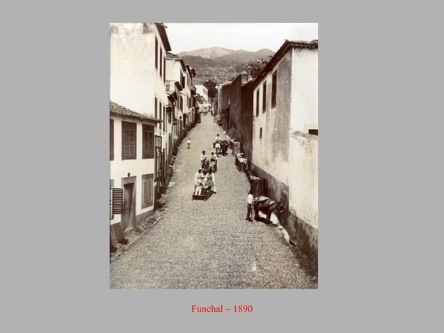 fotos antigas da madeira