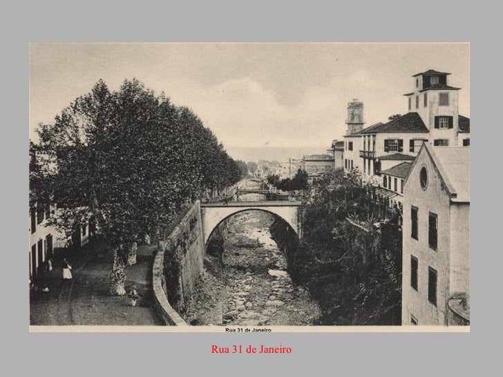 fotos antigas da madeira