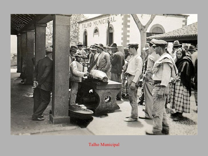 fotos antigas da madeira