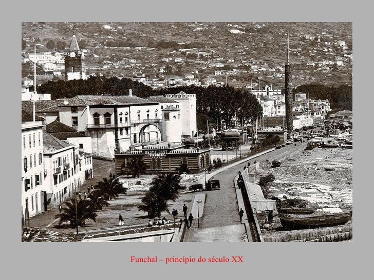 fotos antigas da madeira