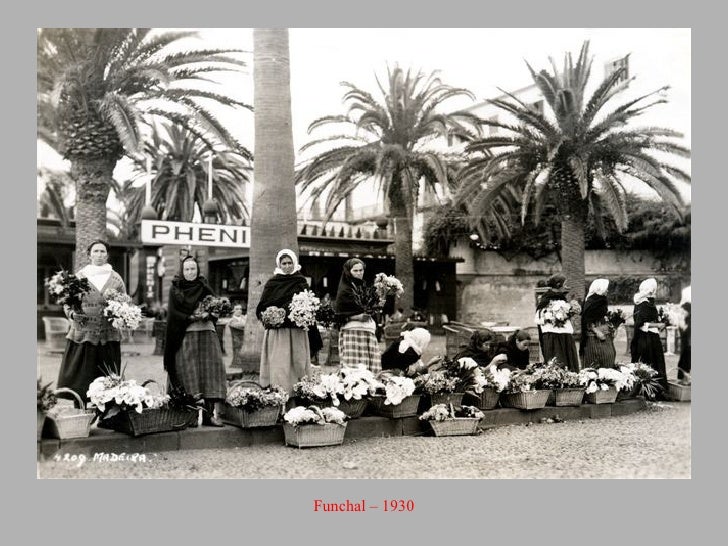 fotos antigas da madeira