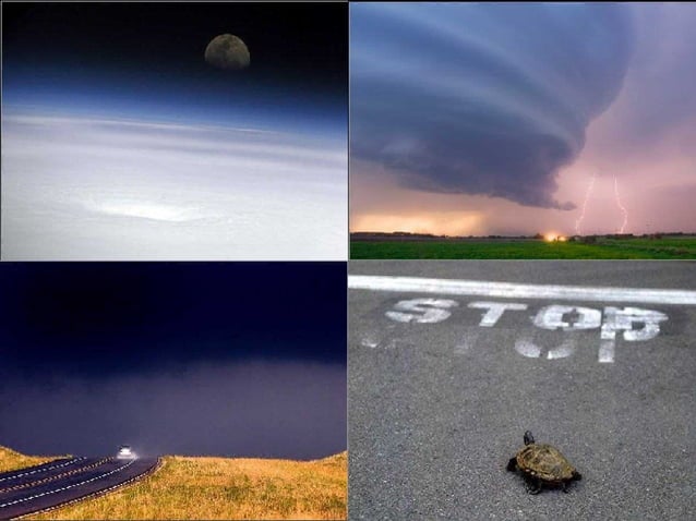 Fotos premiadas fotografia | PPS