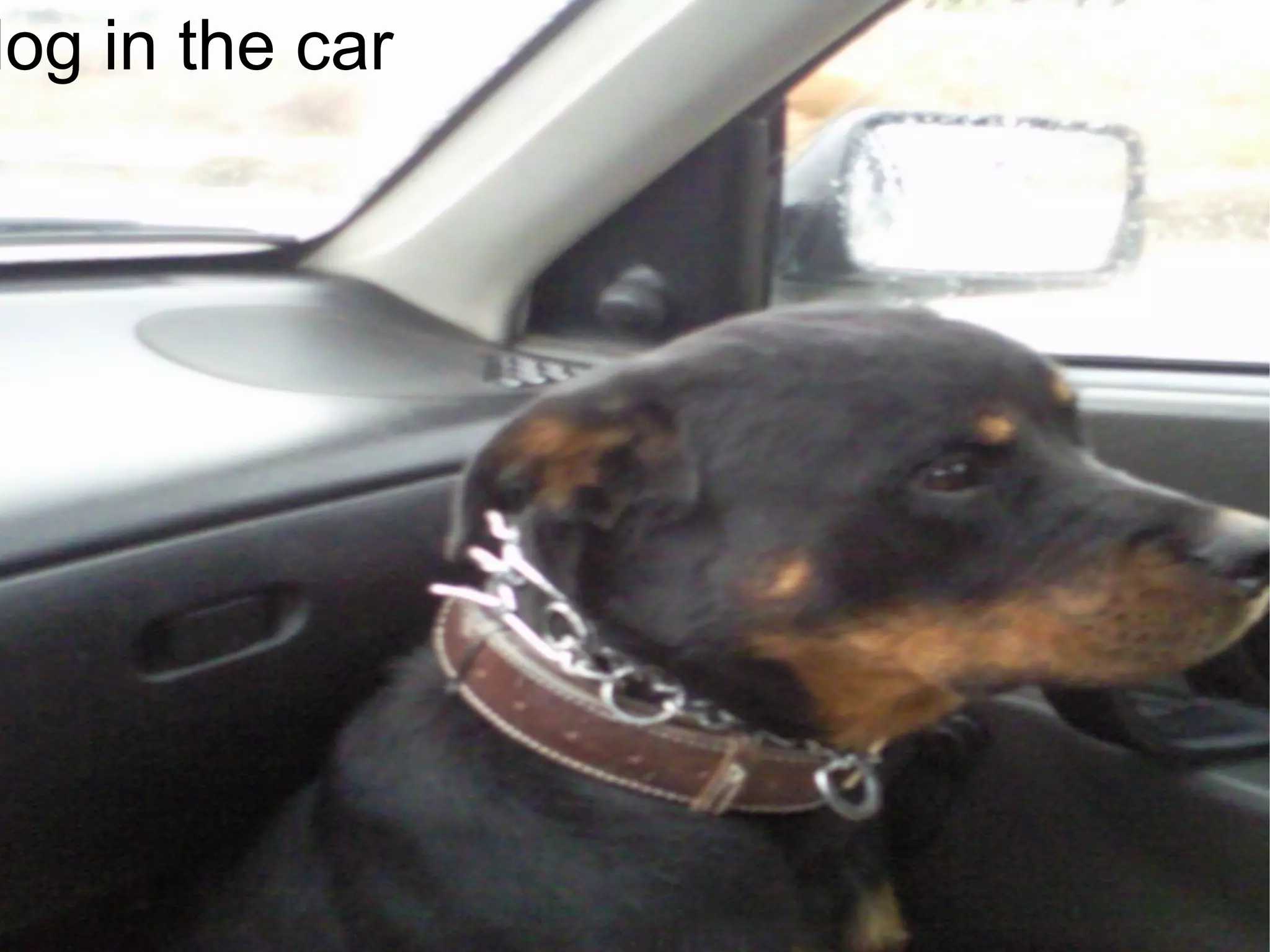 "Chula" by Manuel Blanco | ODP