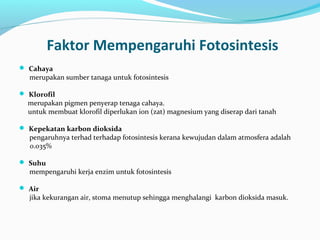 Fotosintesis | PPT