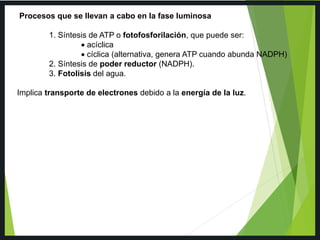 Fotosintesis | PPT