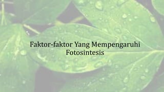 Fotosintesis | PPTX