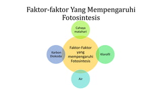 Fotosintesis | PPTX