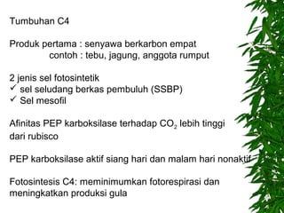 Fotosintesis | PPT