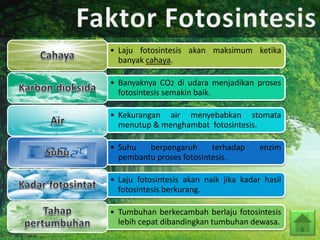 Fotosintesis | PPTX