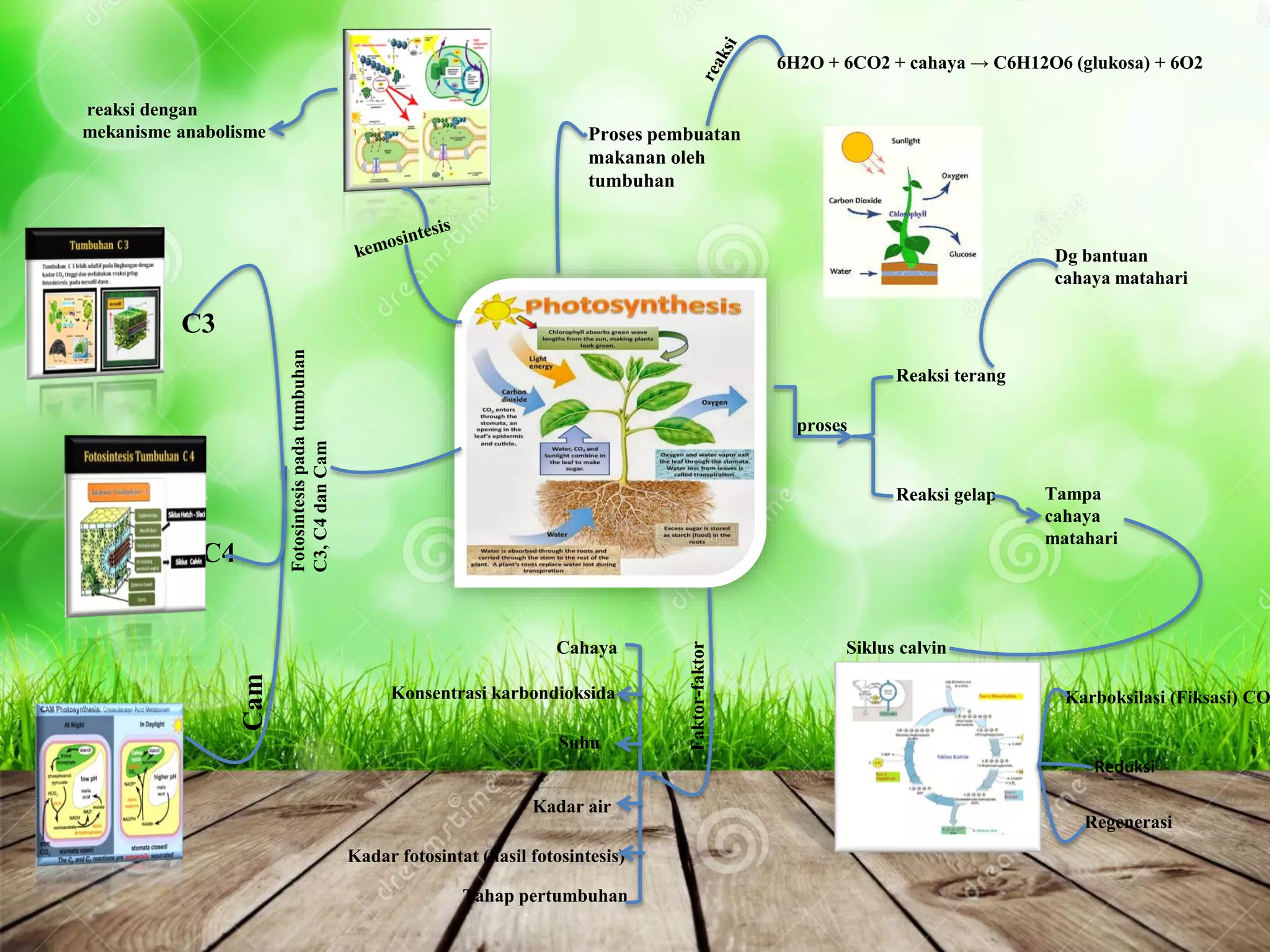 Mind Map Tentang Fotosintesis | PDF