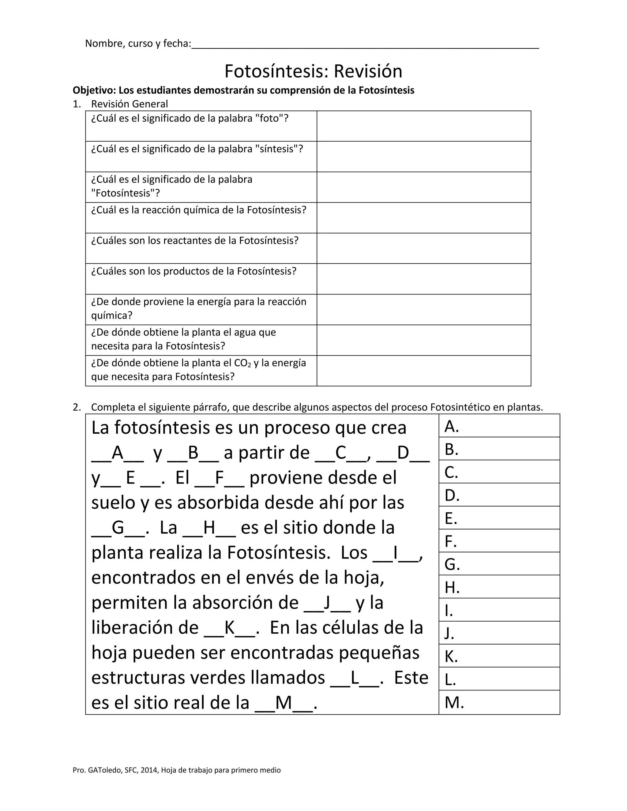 Hoja De Trabajo De Fotosíntesis Con Respuestas