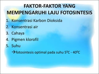 Fotosintesis darmant | PPTX
