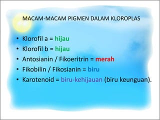 Fotosintesis darmant | PPTX