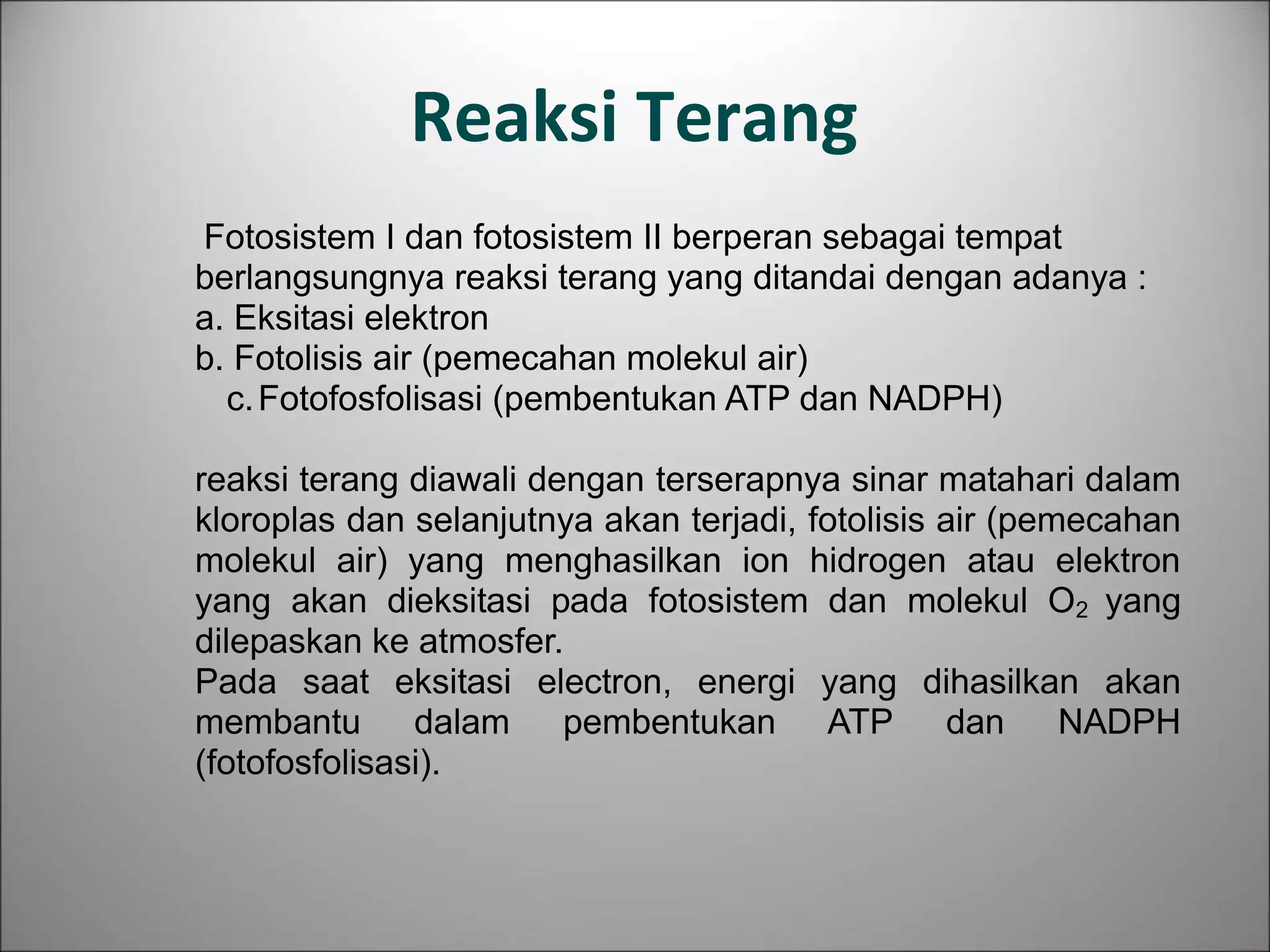 Fotosintesis pada tanaman kaktus | PPTX