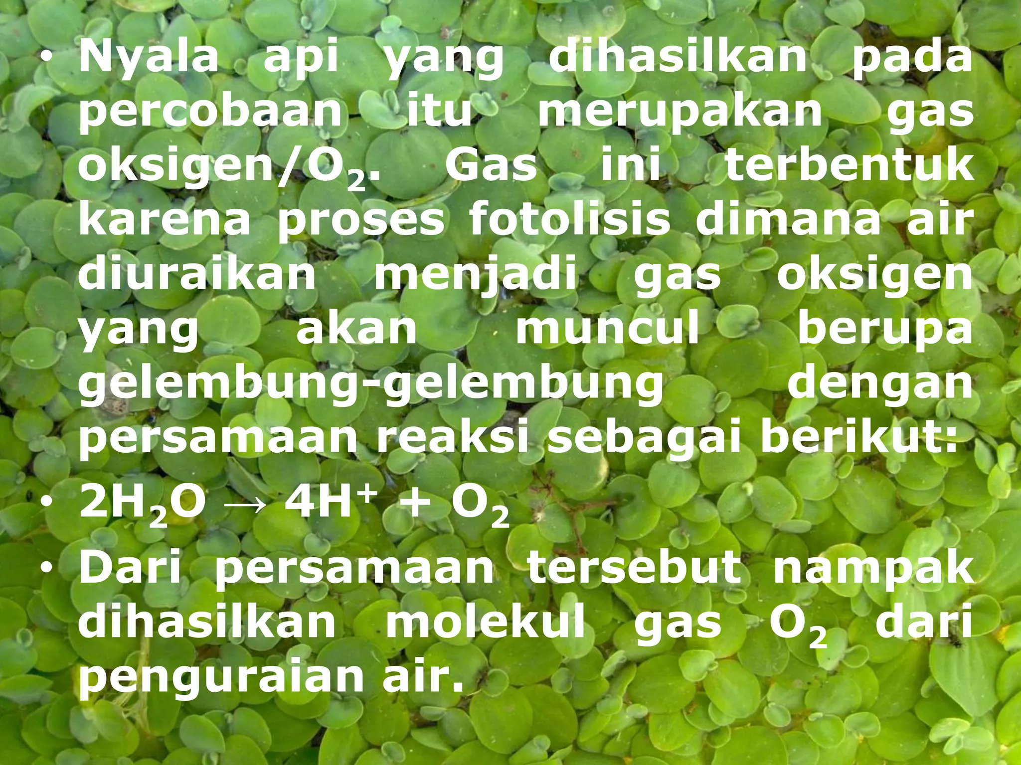 Fotosintesis ppt | PPTX