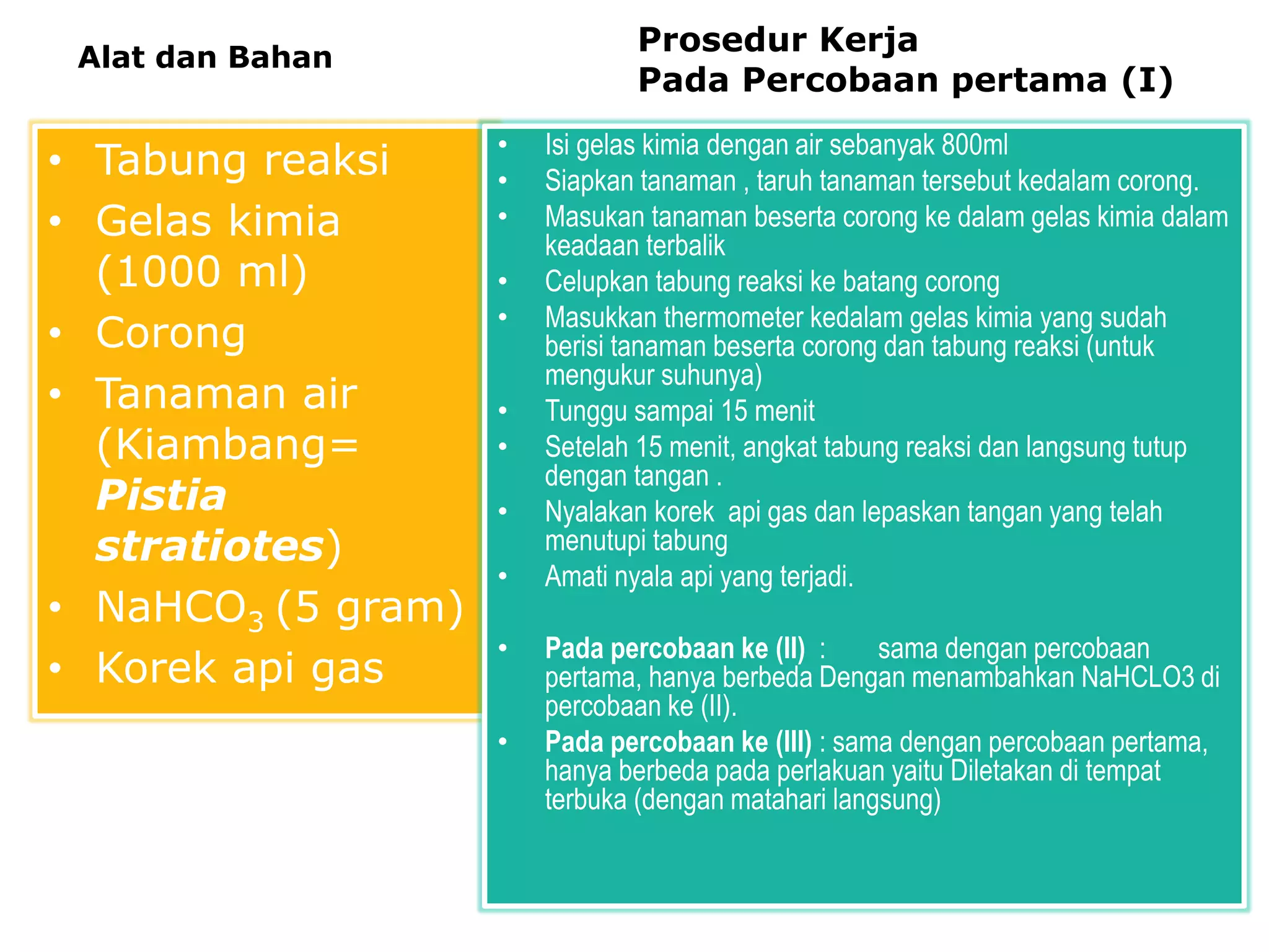 Fotosintesis ppt | PPTX