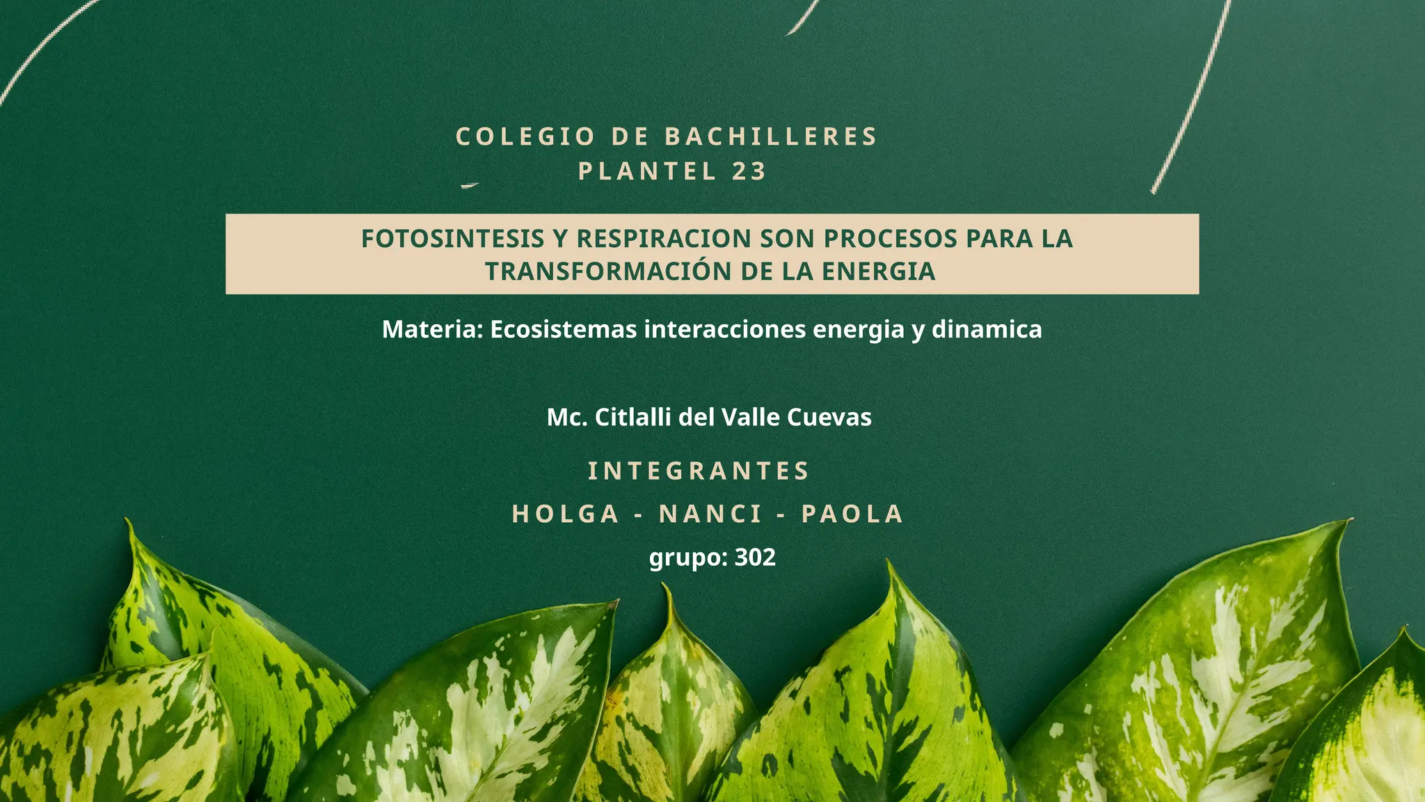 FOTOSINTESIS Y RESPIRACION CIENCIAS DE LA .pptx