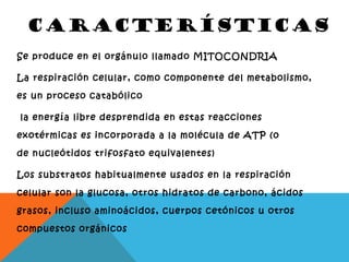 Fotosintesis y respiracion celular | PPT